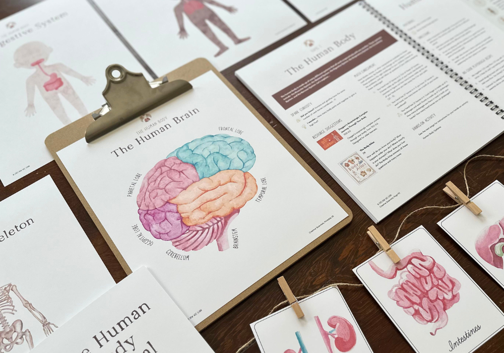 Homeschool Family Unit Studies for Ages 4-12 – How Wee Learn