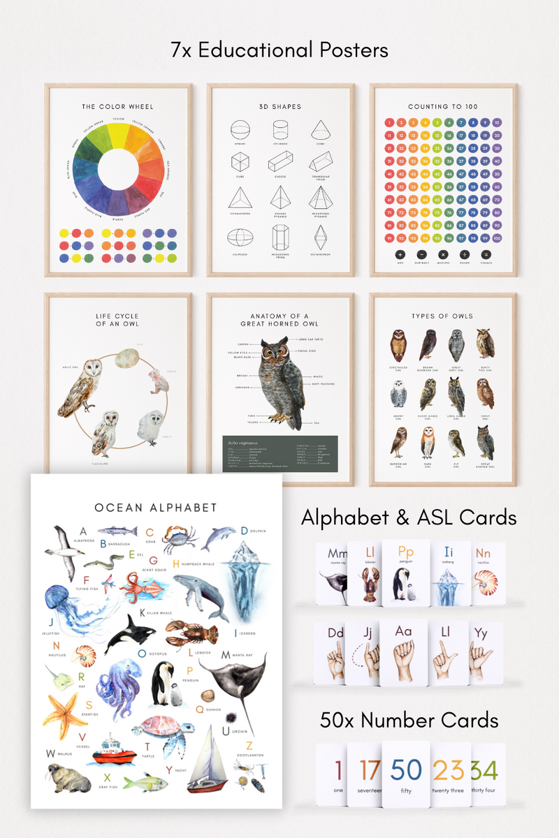 Kindergarten Poster Pack – How Wee Learn
