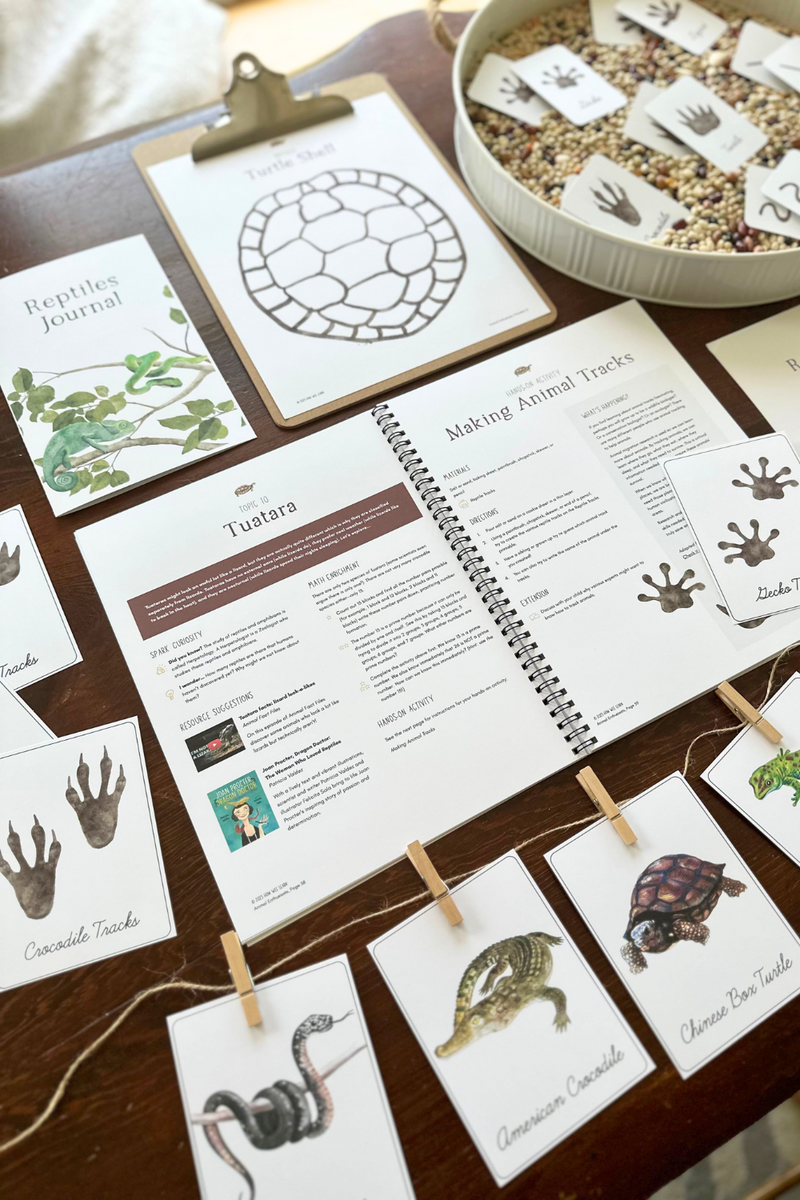 Reptiles Family Unit Study | Perfect for Ages 4 to 12! – How Wee Learn