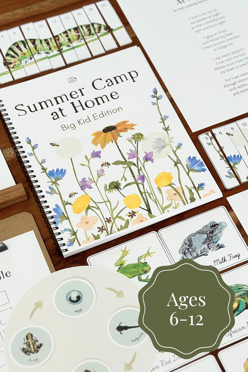 Summer Camp at Home: Big Kid Edition – How Wee Learn
