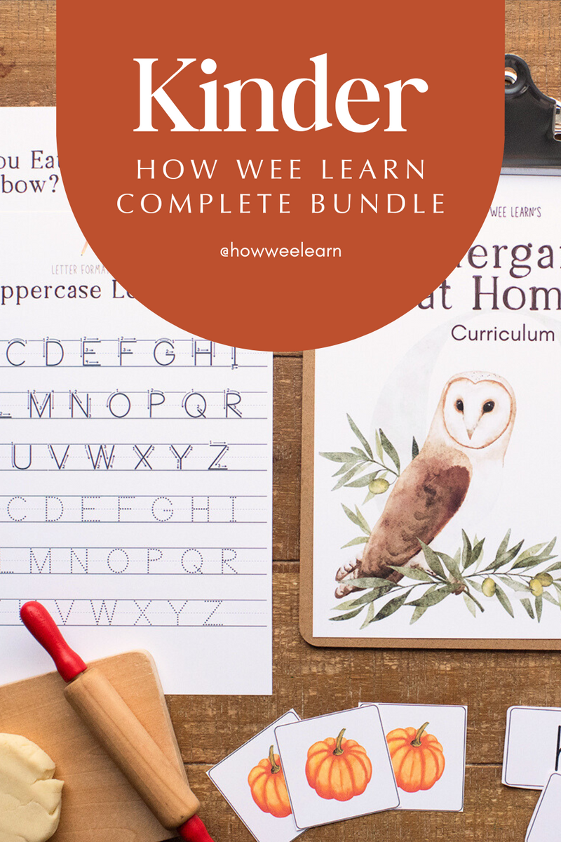 The Everything Kindergarten Bundle | Perfect for Ages 4 to 6 – How Wee ...