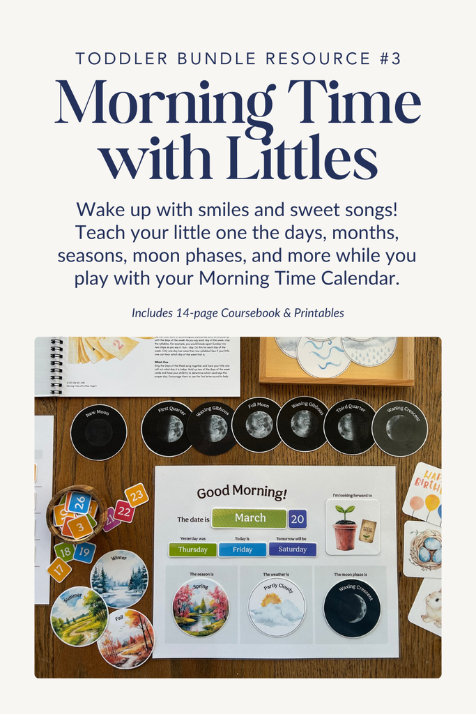 The Everything Toddler Bundle | For Ages 18 Months to 3 Years – How Wee ...