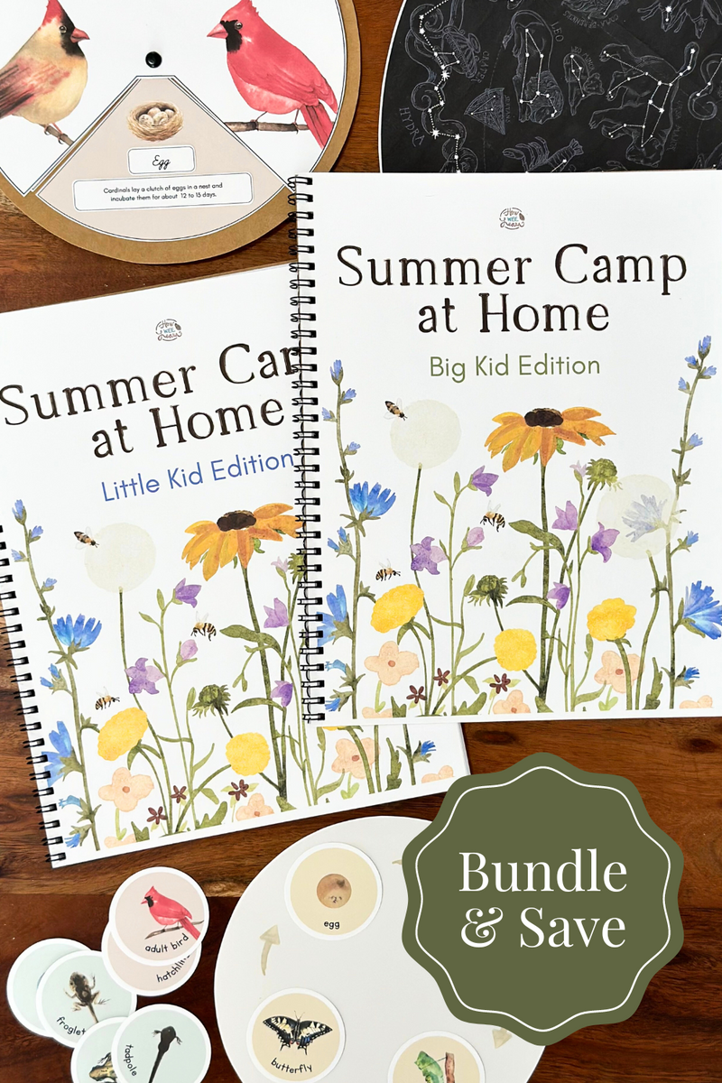 Summer Camp at Home: Little Kid & Big Kid Bundle – How Wee Learn