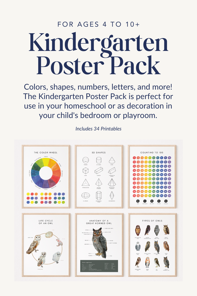 Kindergarten Poster Pack – How Wee Learn