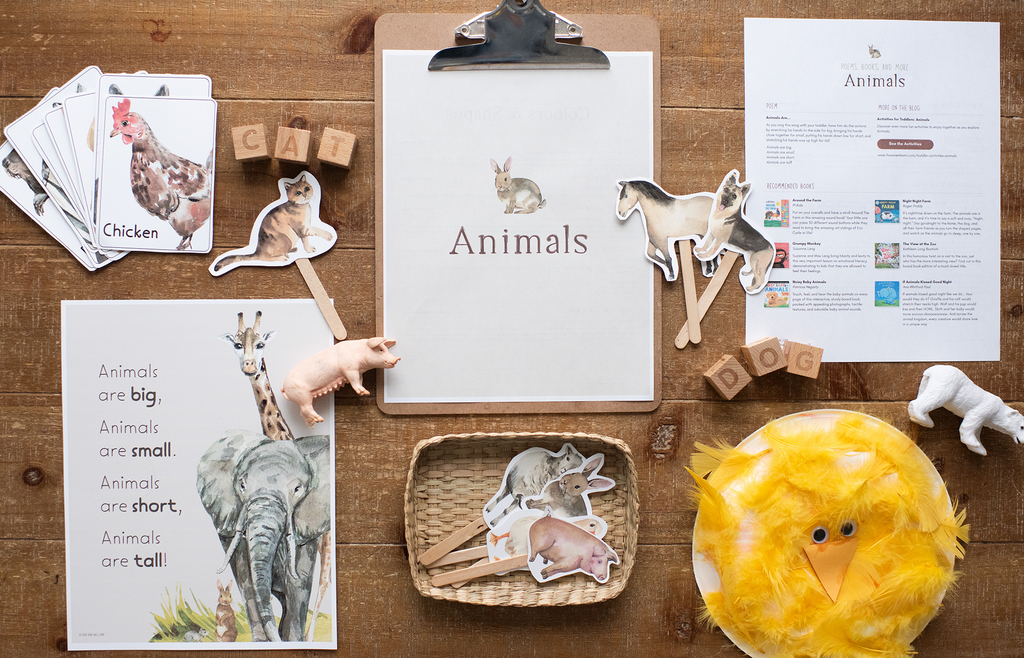 How Wee Learn: Teacher & Homeschool Resources