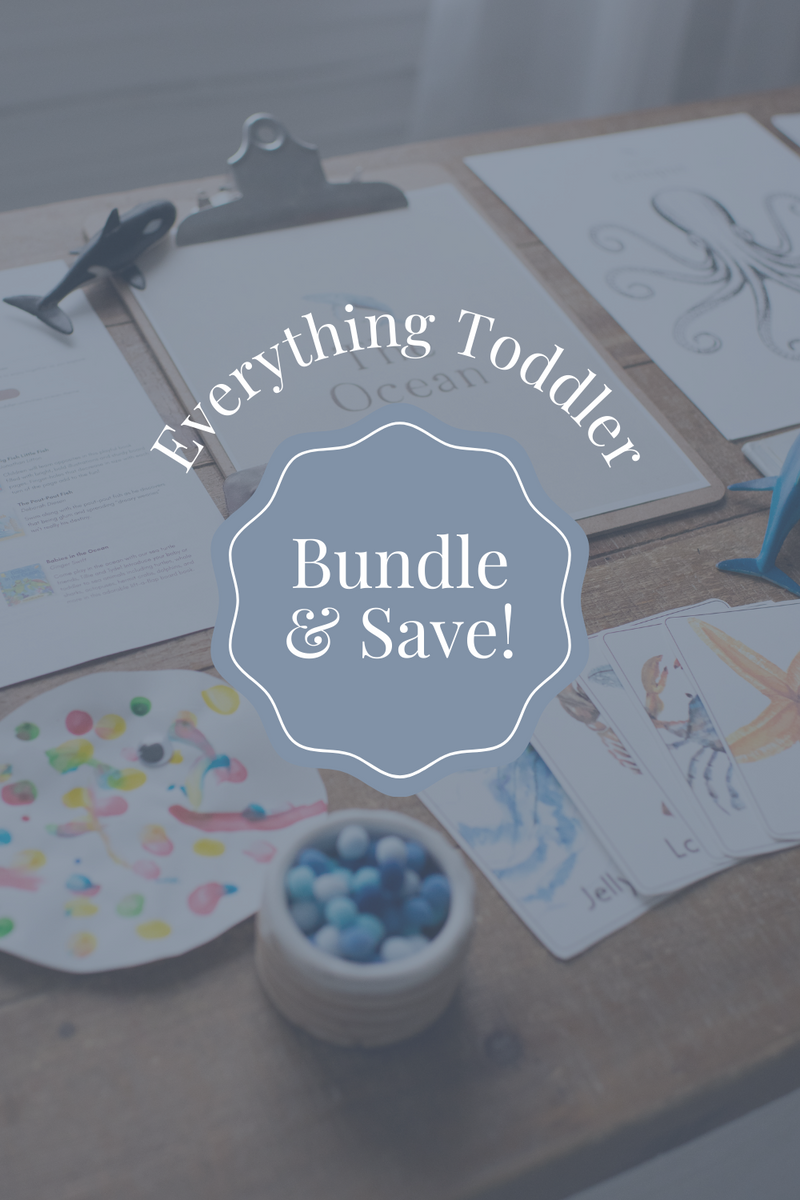 The Everything Toddler Bundle – How Wee Learn