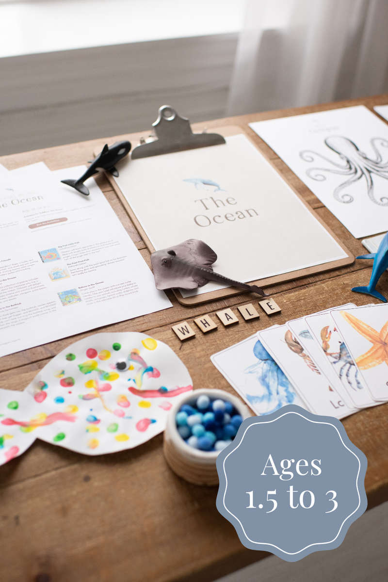 Playful Days | Play-Based Curriculum for Ages 18 Months to 3 Years ...