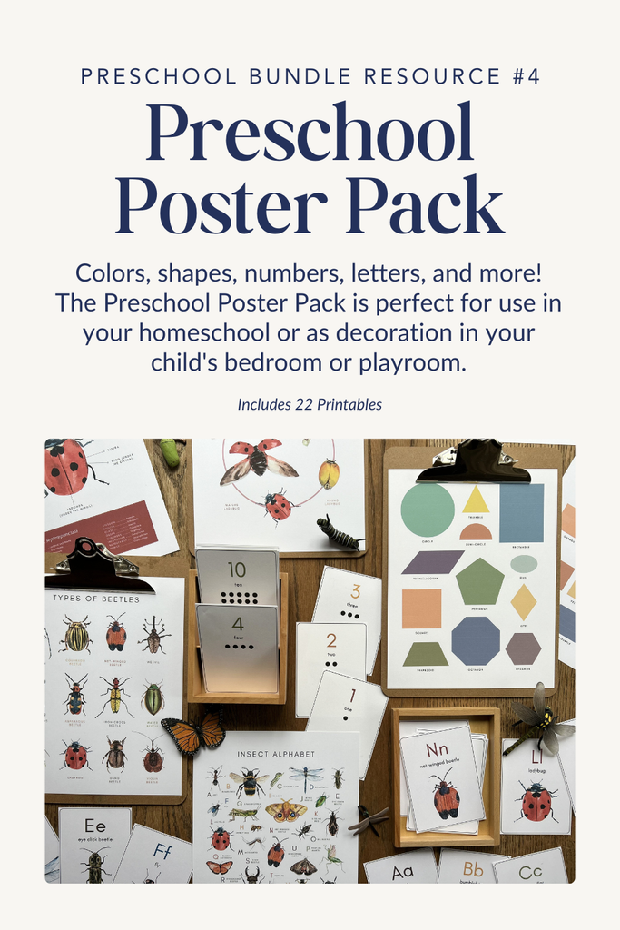The Everything Preschool Bundle | Perfect for Ages 3 to 5 – How Wee Learn