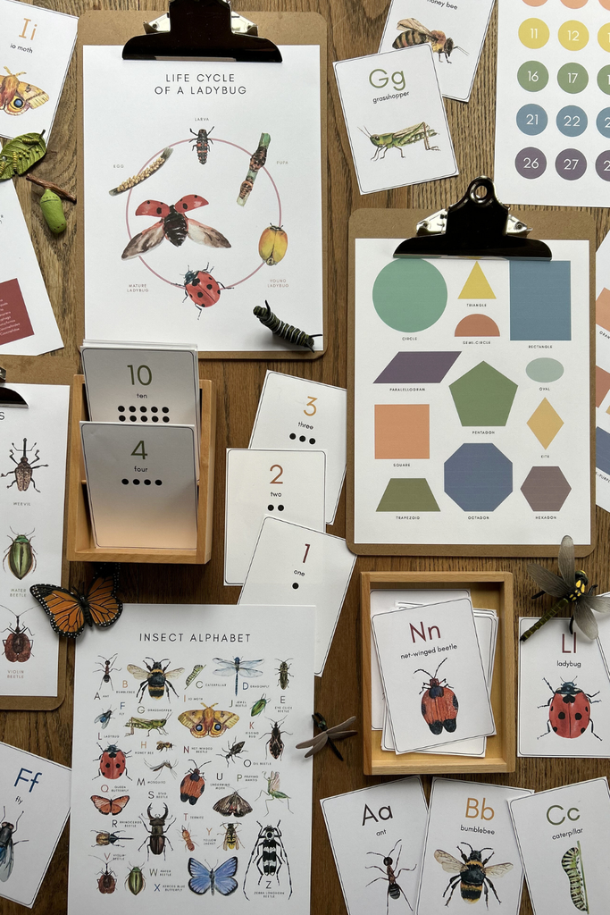 Play into Kindergarten Readiness | Play-Based Preschool Curriculum ...