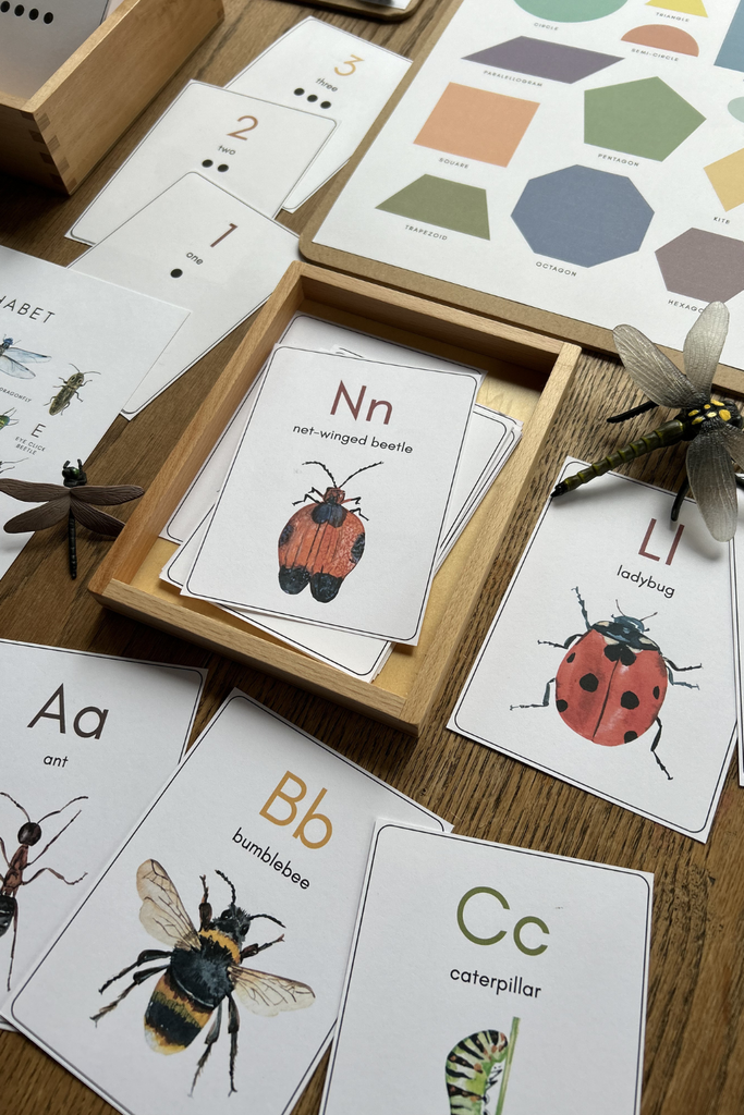 Preschool Poster Pack – How Wee Learn