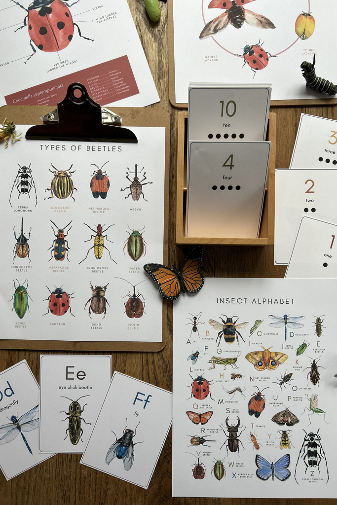 Preschool Poster Pack – How Wee Learn