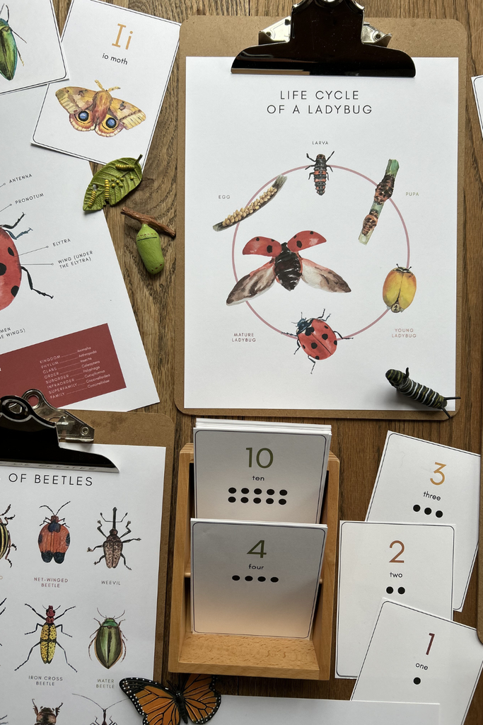 Preschool Poster Pack – How Wee Learn