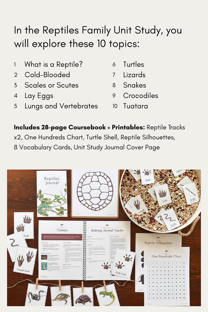 Animal Enthusiasts Bundle – How Wee Learn