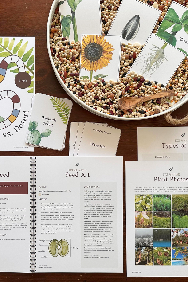 Seeds and Plants | Family Unit Study for Ages 4 to 12 – How Wee Learn