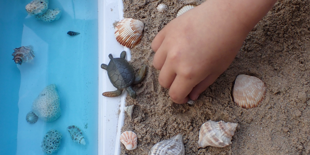 How Wee Learn: Teacher & Homeschool Resources