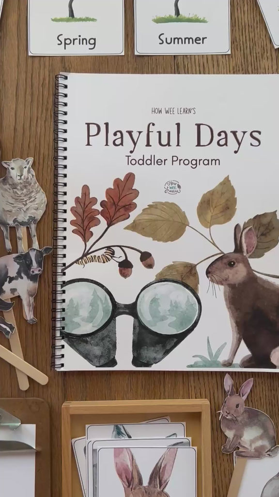 Playful Days | Play-Based Curriculum for Ages 18 Months to 3 Years ...